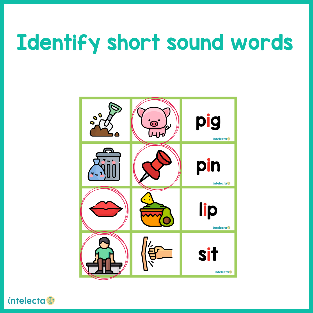Identify short sound words – Intelecta