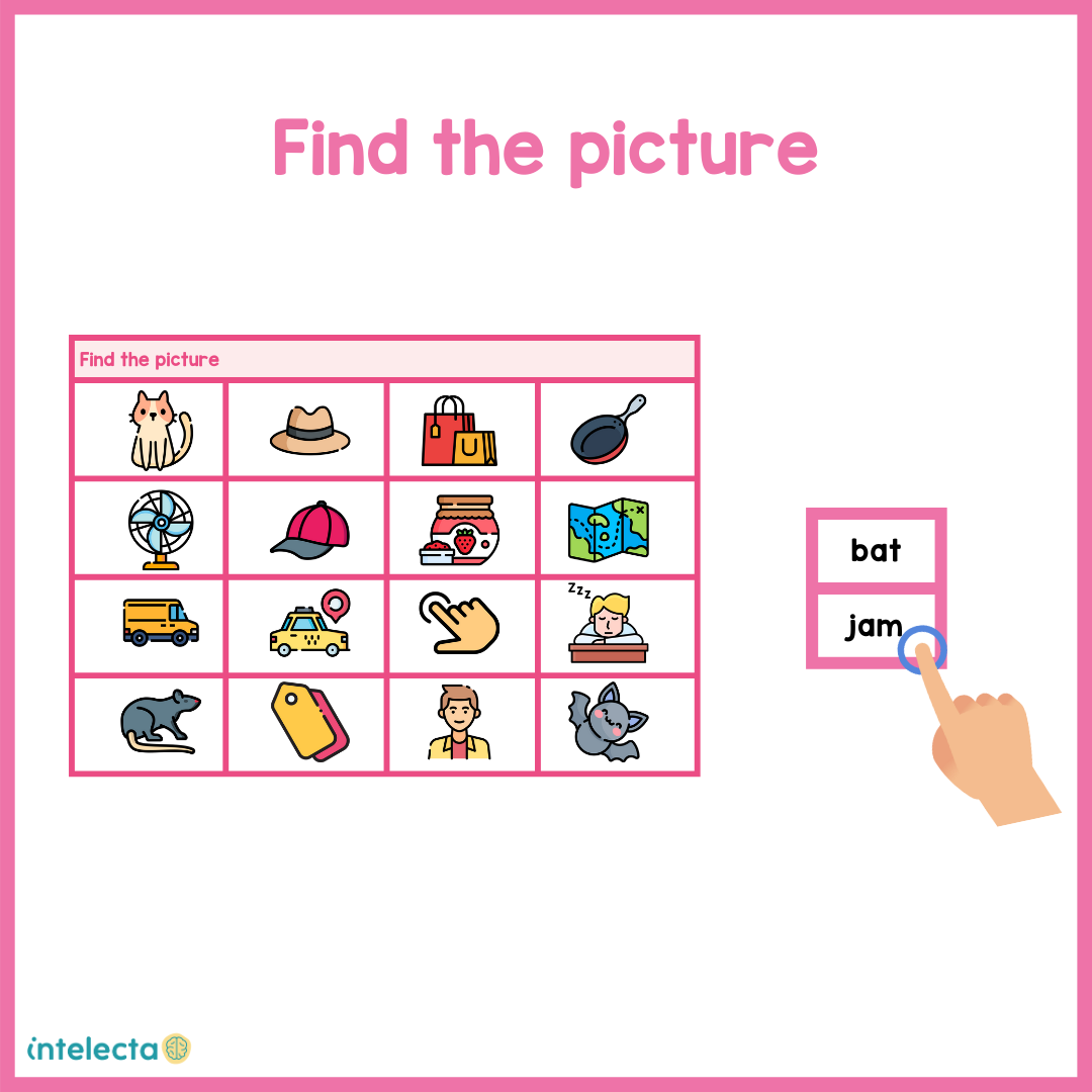 Find the picture – Intelecta