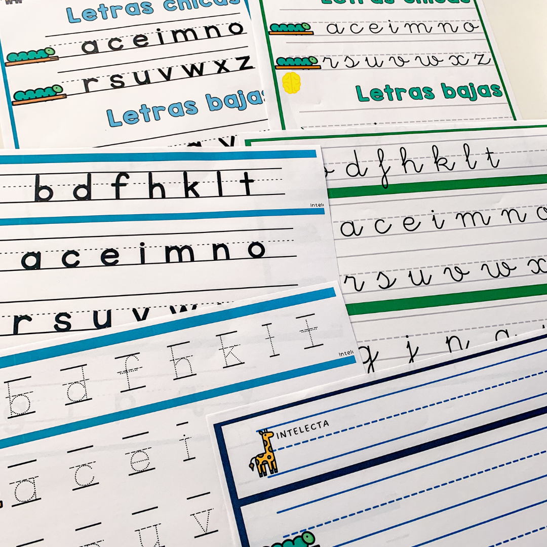 Letras altas, bajas y chicas – Intelecta
